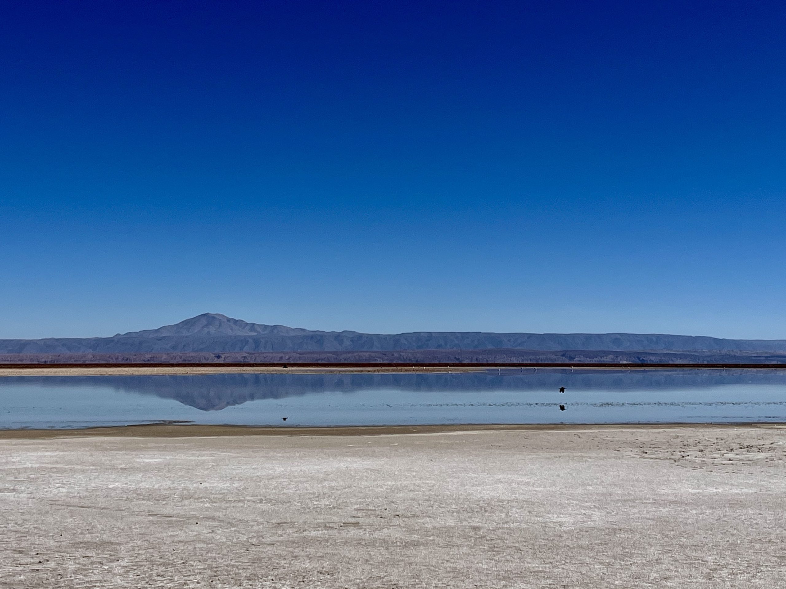Mutatis Mutandis • REVISTA LATINA