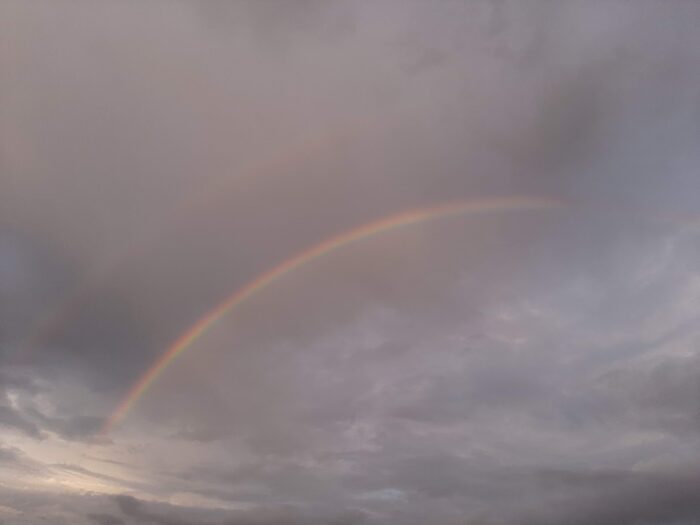 Congoja • REVISTA LATINA