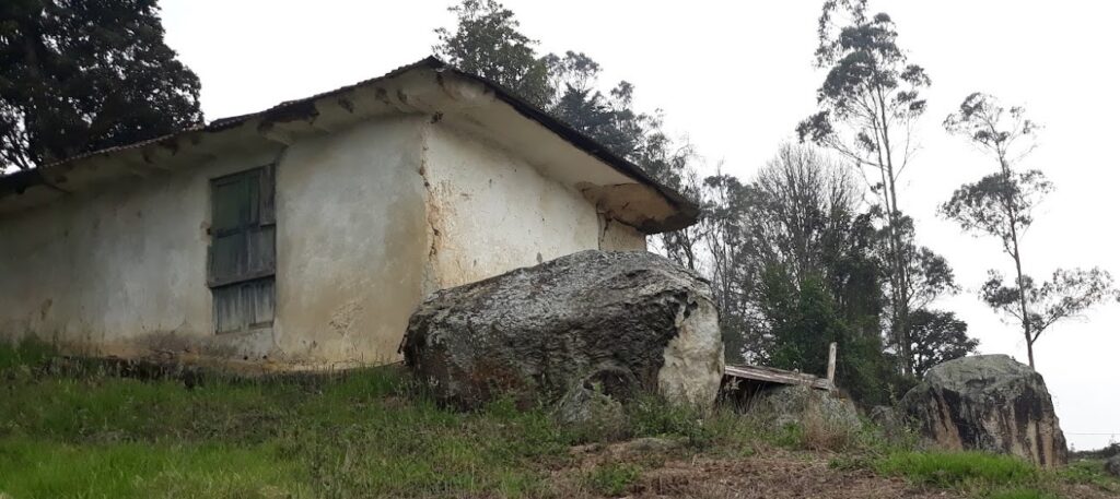 Congoja • REVISTA LATINA