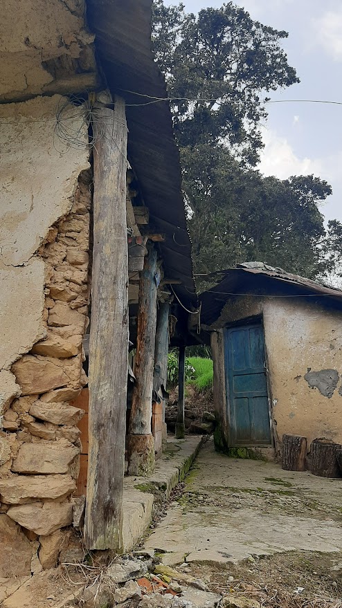 Congoja • REVISTA LATINA